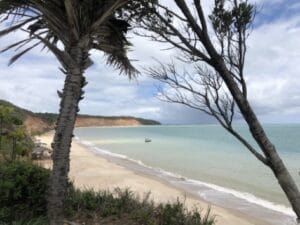 Praia do Carro Quebrado: conheça esse paraíso de Alagoas - Viaje com Norma