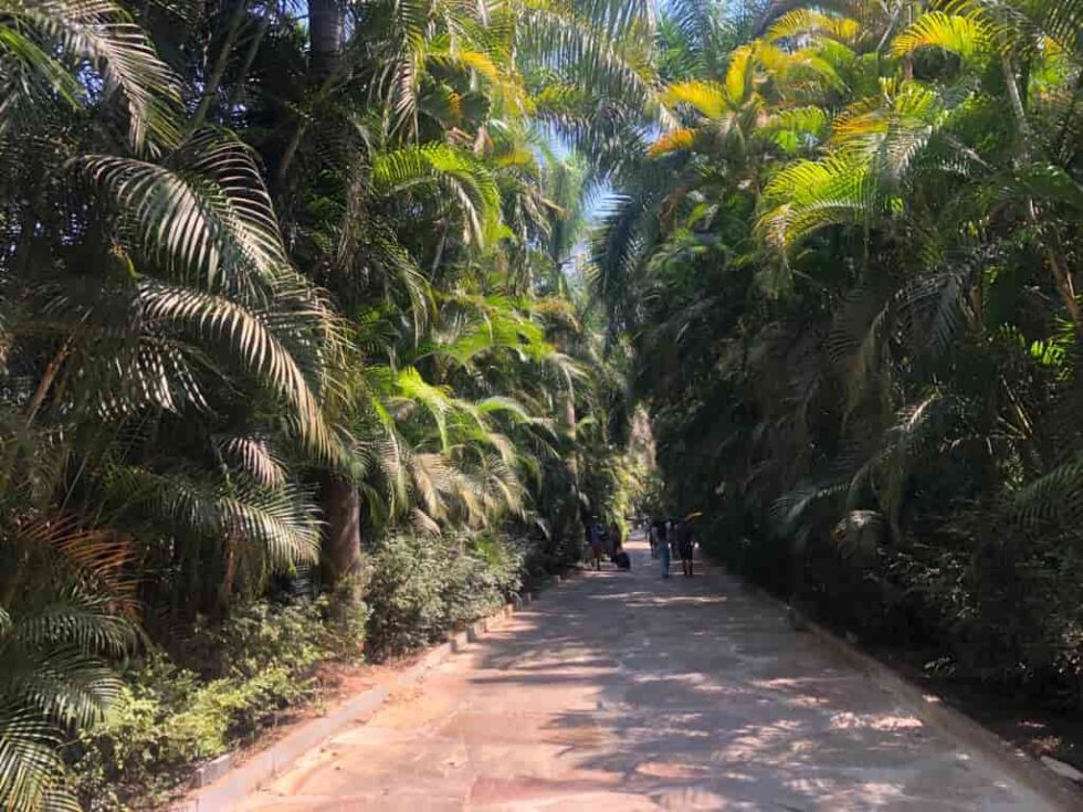 Inhotim: Visite o maior museu a céu aberto do mundo - Viaje com Norma