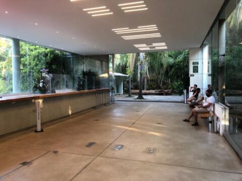Inhotim: Visite o maior museu a céu aberto do mundo - Viaje com Norma