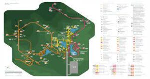 Inhotim: Visite o maior museu a céu aberto do mundo - Viaje com Norma